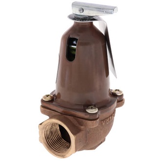 Bell and Gossett 110125 790-75 Relief Valve - GarnetMidwestInc
